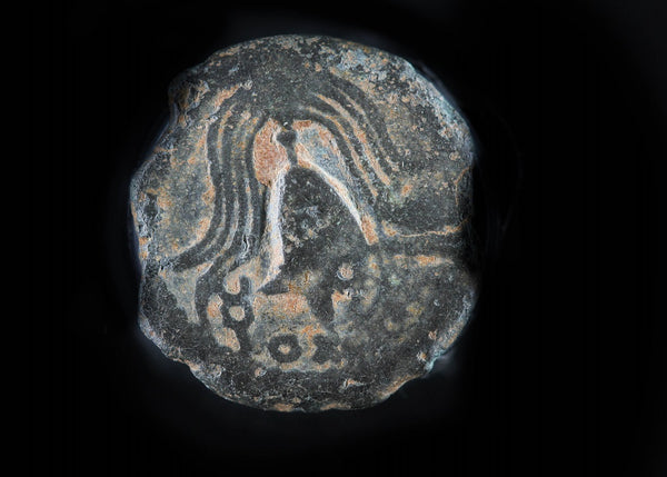HEROD ARCHELAUS COIN – The Oriental Museum